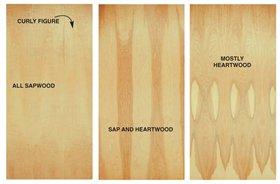 The Way Wood Works: Birch | Popular Woodworking