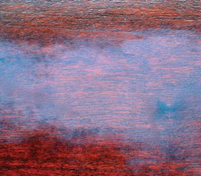 Category: Finishing | Popular Woodworking