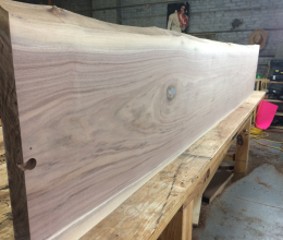 Anatomy of A Log | Popular Woodworking