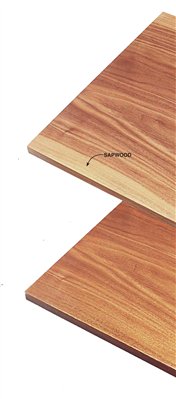Tips for Finishing Walnut | Popular Woodworking