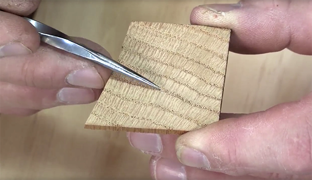 How Trees Grow | Popular Woodworking